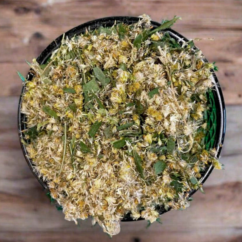 Wild Organic Goldenrod Shredded for Tea, Solidago Tea – BotanyBeeBotanicals