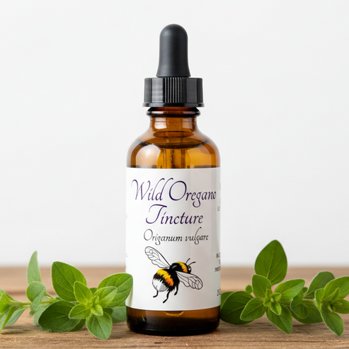Wild Oregano Tincture, Wild Organic Origanum Vulgare Herbal Extract ...